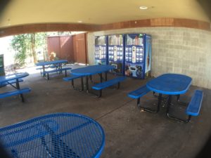 Spring Break Mystery Location | Origami Yoda